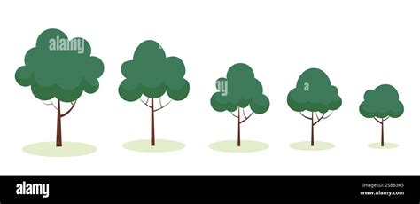 Illustration Of Trees Showing Growth Stages In A Peaceful Green