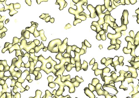 Cryo Electron Microscopy Chair Of Biochemistry Ii