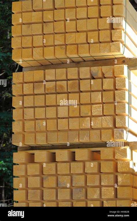 Wood Black Forest Raw Material Lasting Sawmill Furniture Tree Trees Stock Photo Alamy