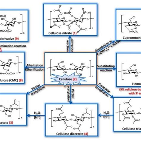 Schematic Representation Of The Fabrication Of Regenerated Cellulose