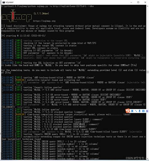 Sqlmap Sql Lib Sqllib Csdn