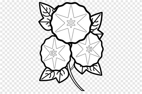 꽃 무늬 디자인 일본 나팔꽃 색칠하기 책 그림 흑백 나팔꽃 각도 화이트 Png Pngegg