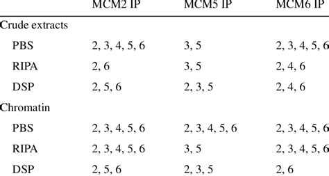 Summary Of Mcm Interactions Download Table