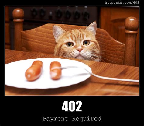 402 Payment Required Status Code And Cats