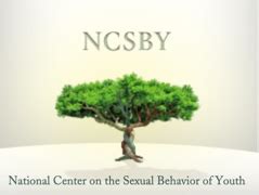 Guidelines For Determining If A Sexual Behavior Would Be Considered Problematic