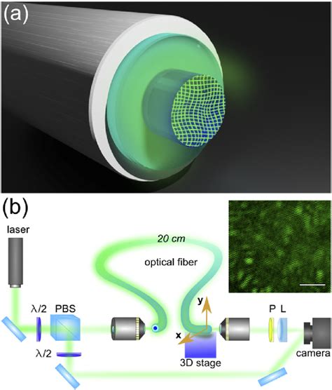 Principle Of Nanoscale Measurements With Fiber Based Optical Ruler A