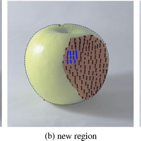 Orientation Editing Example A User Gesture B Orientation Field
