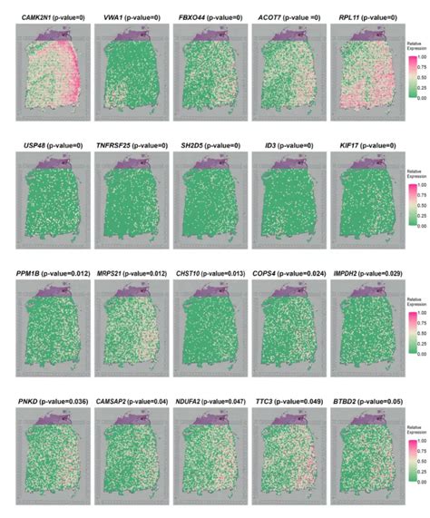 10x空间转录组聚类分析之图卷积网络（graph convolutional network） csdn博客