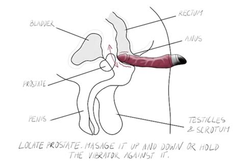 How To Use A Vibrator Various Types The Ultimate Guide