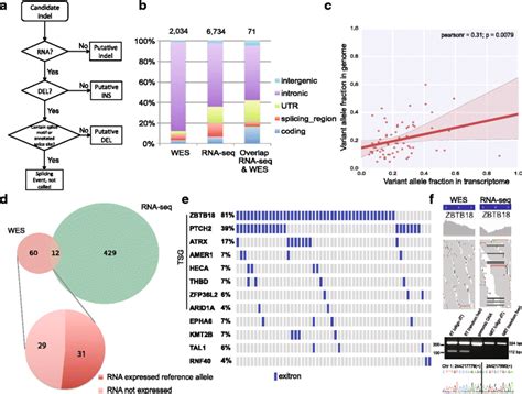 Indel Detection On Rna Seq Data A Transindel Workflow Of Calling Download Scientific Diagram