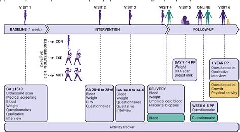 figure 2 from effects of structured supervised exercise training or