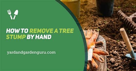 How To Remove A Tree Stump By Hand