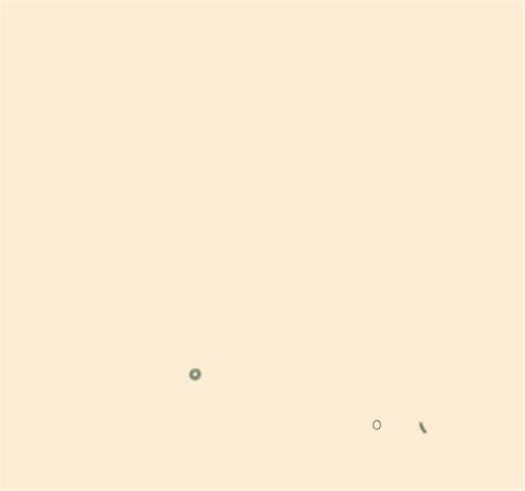 Grid View — Steph Hardy