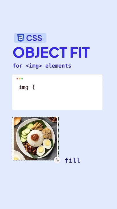 🖼️ css3 object fit for image elements perfect fit every time 🚀💻