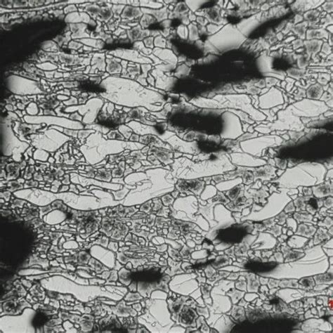 Pdf Influence Of Microstructure On The Hot Ductility Behavior Of Super Duplex Stainless Steel
