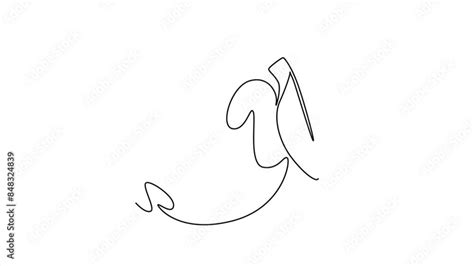 Self Drawing Animation Of Single Line Draw Whole Healthy Organic Java