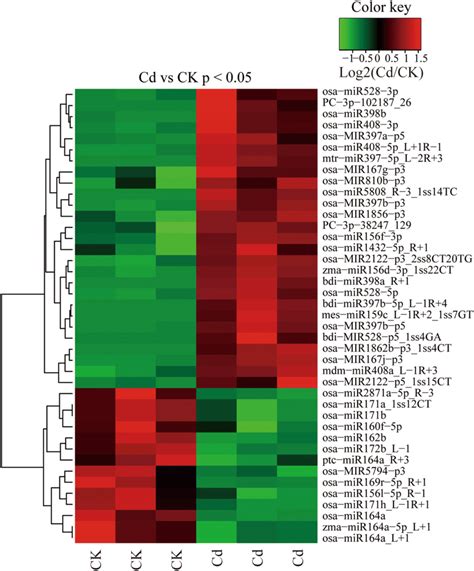 A Hierarchical Clustering Of Differentially Abundant MiRNAs