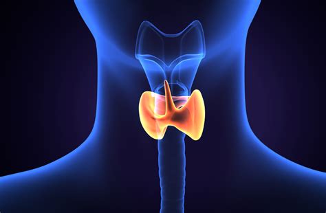 فرارو پرکاری پاراتیرویید علائم، عوامل و روش‌های درمان