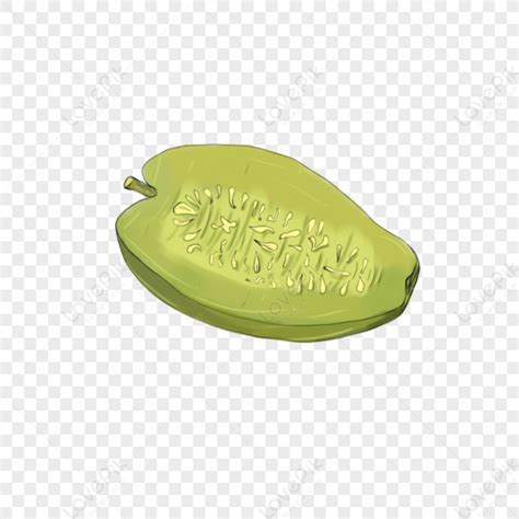 녹색 건강한 과일 Png 일러스트 무료 다운로드 Lovepik