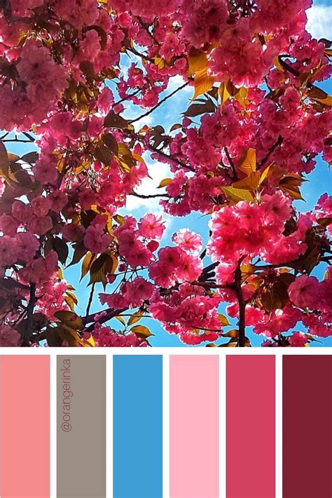 Spring Color Palette For Outfit Color Combos And Home Decor Inspired By Blooming Sakura Photo