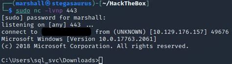 Reverseshell Offensivesecurity Hacking Oscp Hackthebox