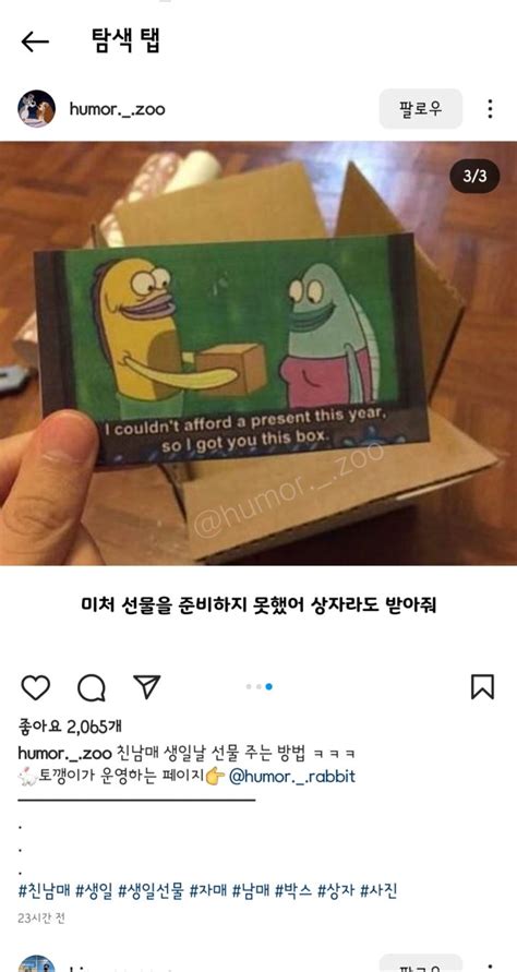 스폰지밥 생일선물짤 지식in