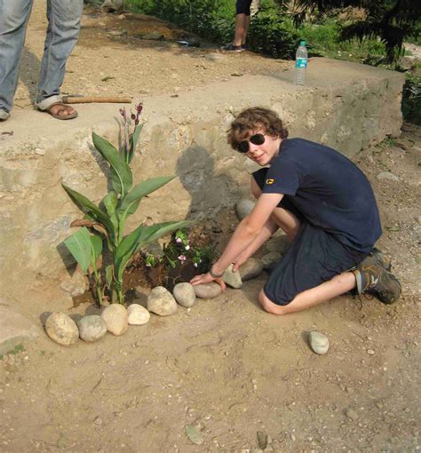 A Tree For Clean Air