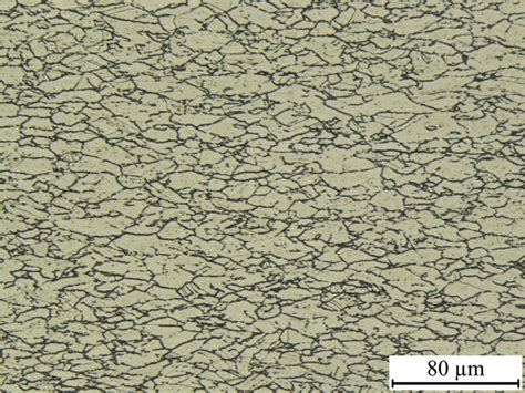 Microstructure Of The Base Material Download Scientific Diagram