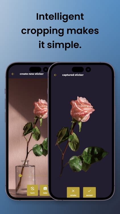 Mecam Stickers By Deejays Sugar Shack