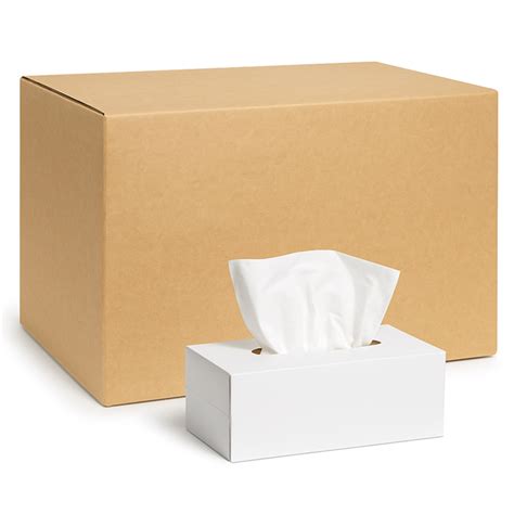 Facial Tissues 100 Sheets Karguo