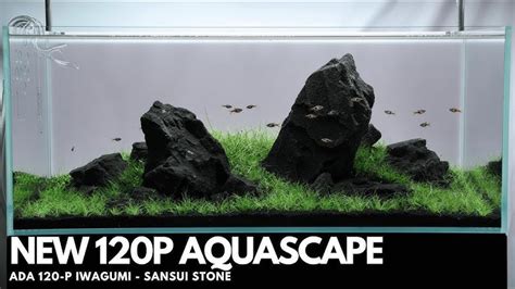 Ada Aquascaping
