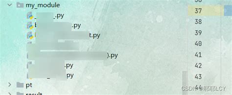 Python 中如何写自己的包，自己的库，调用自己的库python如何from自己制作的库 Csdn博客