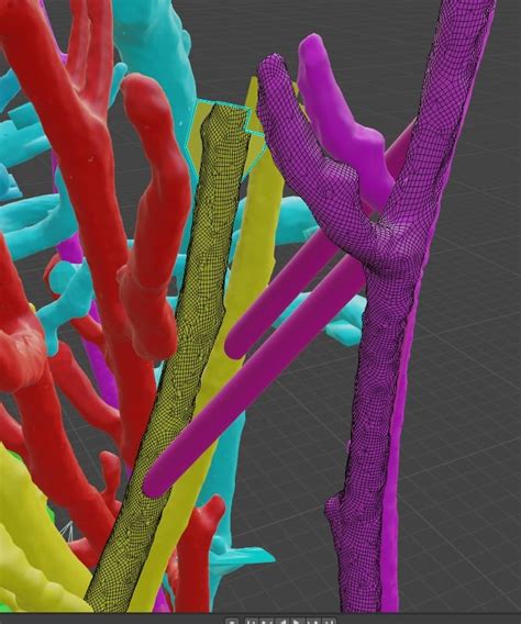 Generated Cylinder Between Two Verts Rblenderhelp
