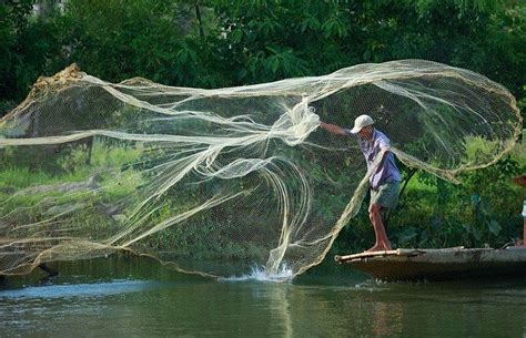 Master Netting Fishing Essential Tips And Gear