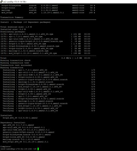 setting up a linux web server on aws