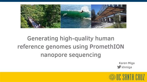 Generating High Quality Human Reference Genomes Using Promethion