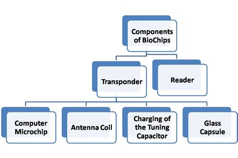 What Is A Biochip Working Principle Types Of Biochips Applications