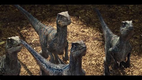 Velociraptor Blue Wallpapers Wallpaper Cave