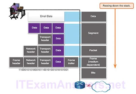 ccna cyber ops version 1 1 chapter 4 network protocols and services