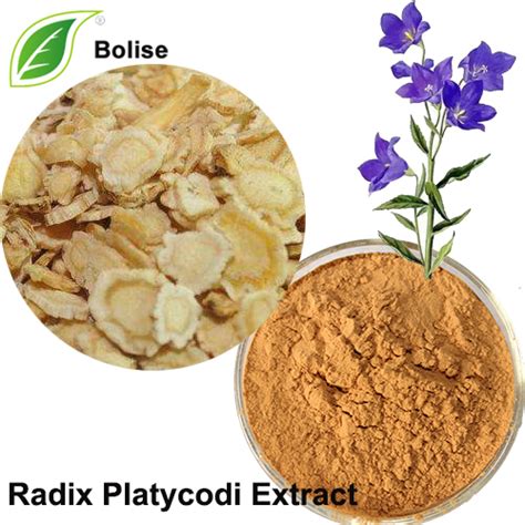 Radix Platycodi Extract Suppliers For Sale From Bolise