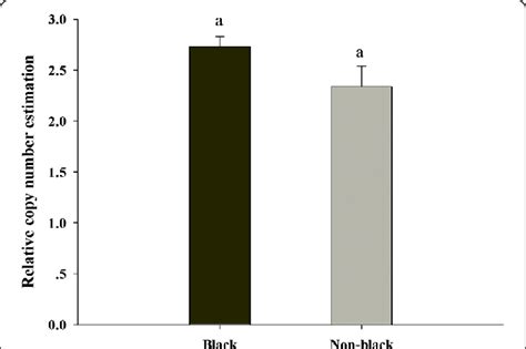 relative copy number estimation of edn3 in black bone and non black