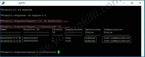 How To Shutdown Emc Vplex Engine It Business Continuity Blog