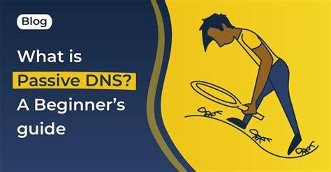 Spamhaus Technology Ltd On Linkedin What Is Passive Dns A Beginners Guide Spamhaus Technology