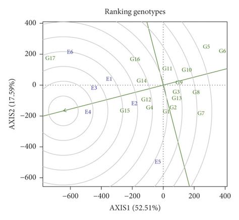 gge biplot based on genotype focused scaling for comparison and