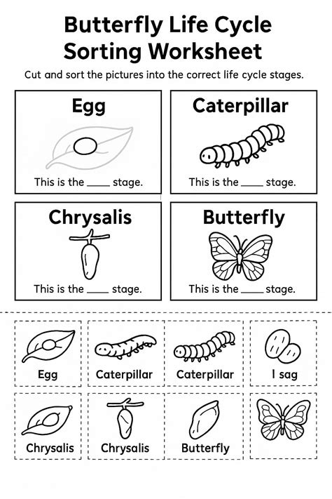 Butterfly Life Cycle Sorting Worksheet Download And Print Now