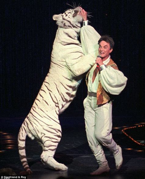 Siegfried And Roy Introduce 3 New Rare White Lion Cubs At Their Wildlife