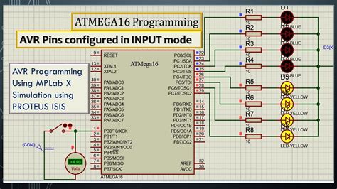 Getting Started With Avr Read An Io As Input To Turn On Led Youtube