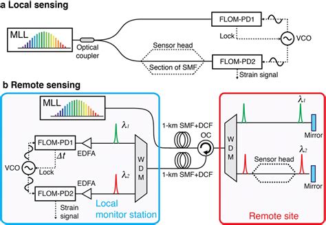 Schematic Of The Experimental Setup For Tof Based Strain Sensing A Download Scientific