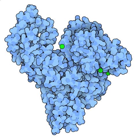 Pdb 101 Learn Structural Biology Highlights Serum Albumins And Allergies